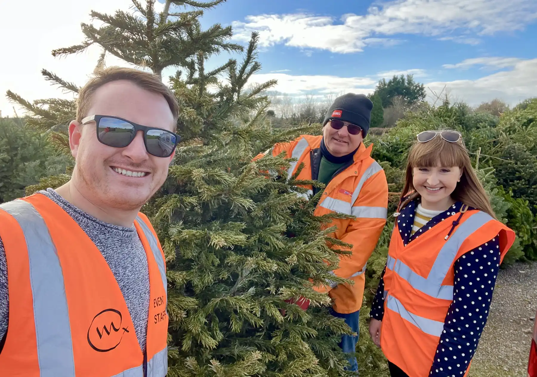 Christmas tree collections raise £12,500 for hospice charity | The New ...