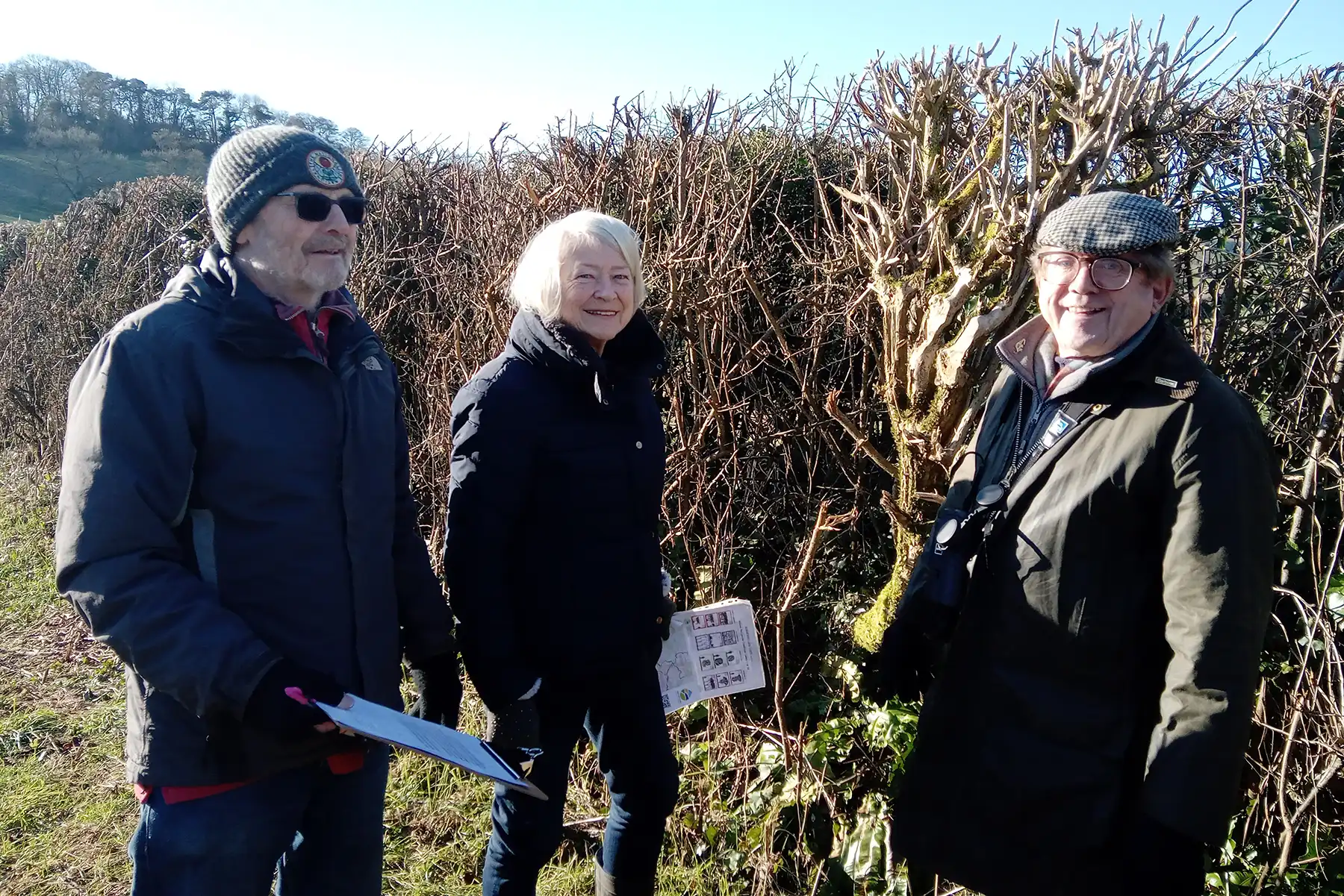 Dorset hedgerow project gets £6,000 funding boost - but needs ...