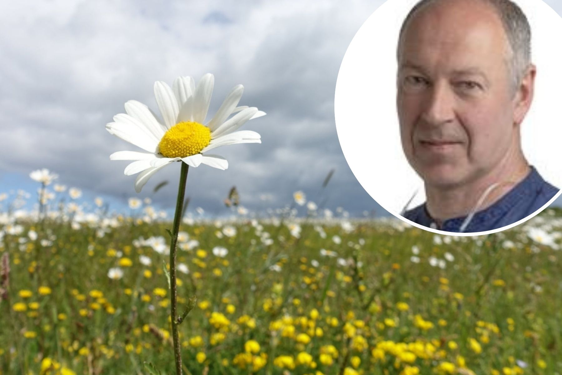 'Nature emergency' declaration in Dorset backed by leaders | The New ...