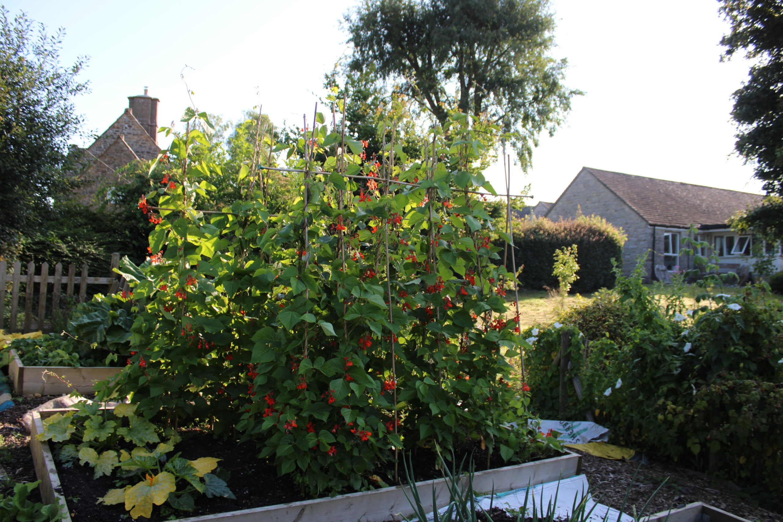 Trent school pupils enjoy £1,500 garden upgrade – The New Blackmore ...