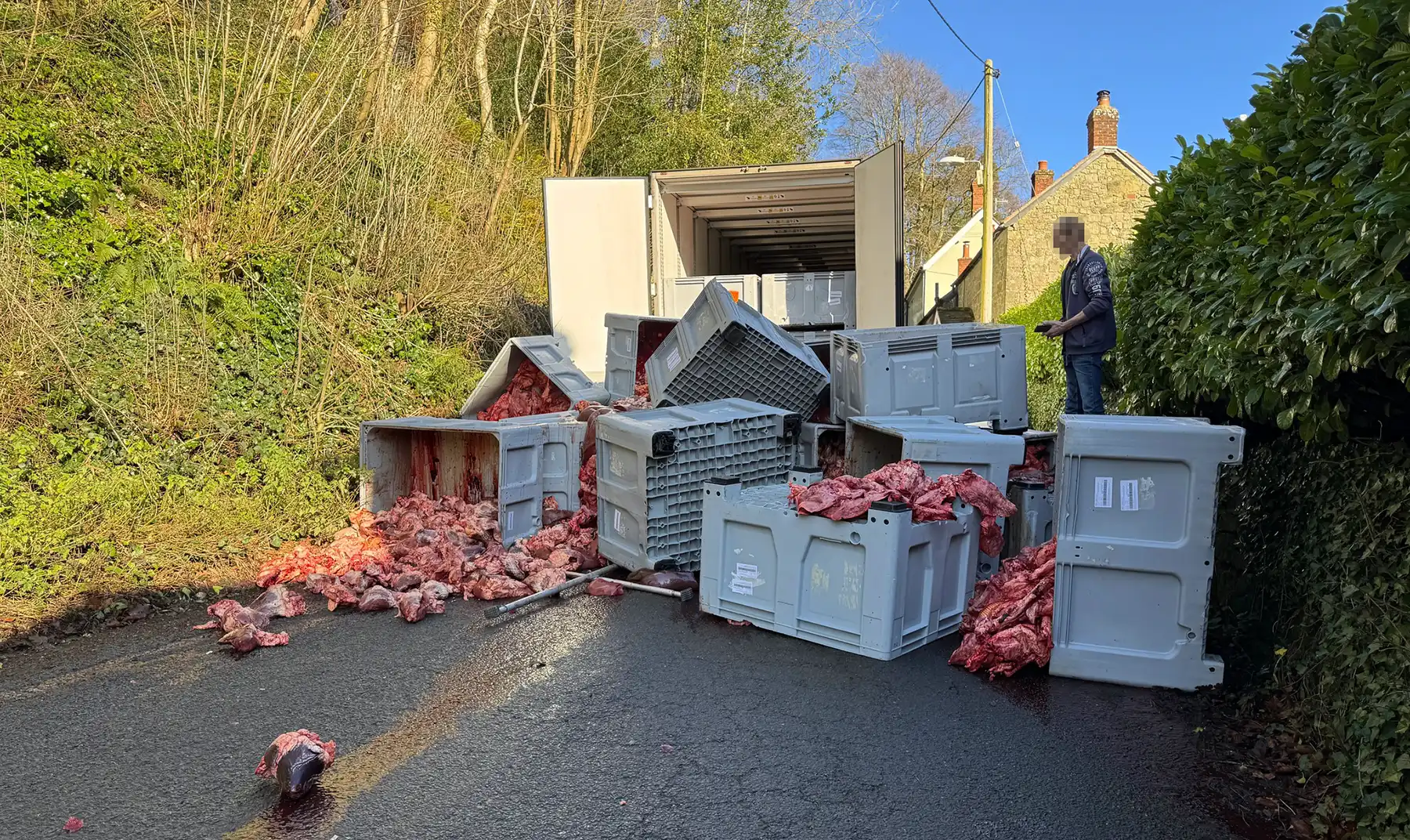 Police called as spilled MEAT blocks Shaftesbury road | The New ...
