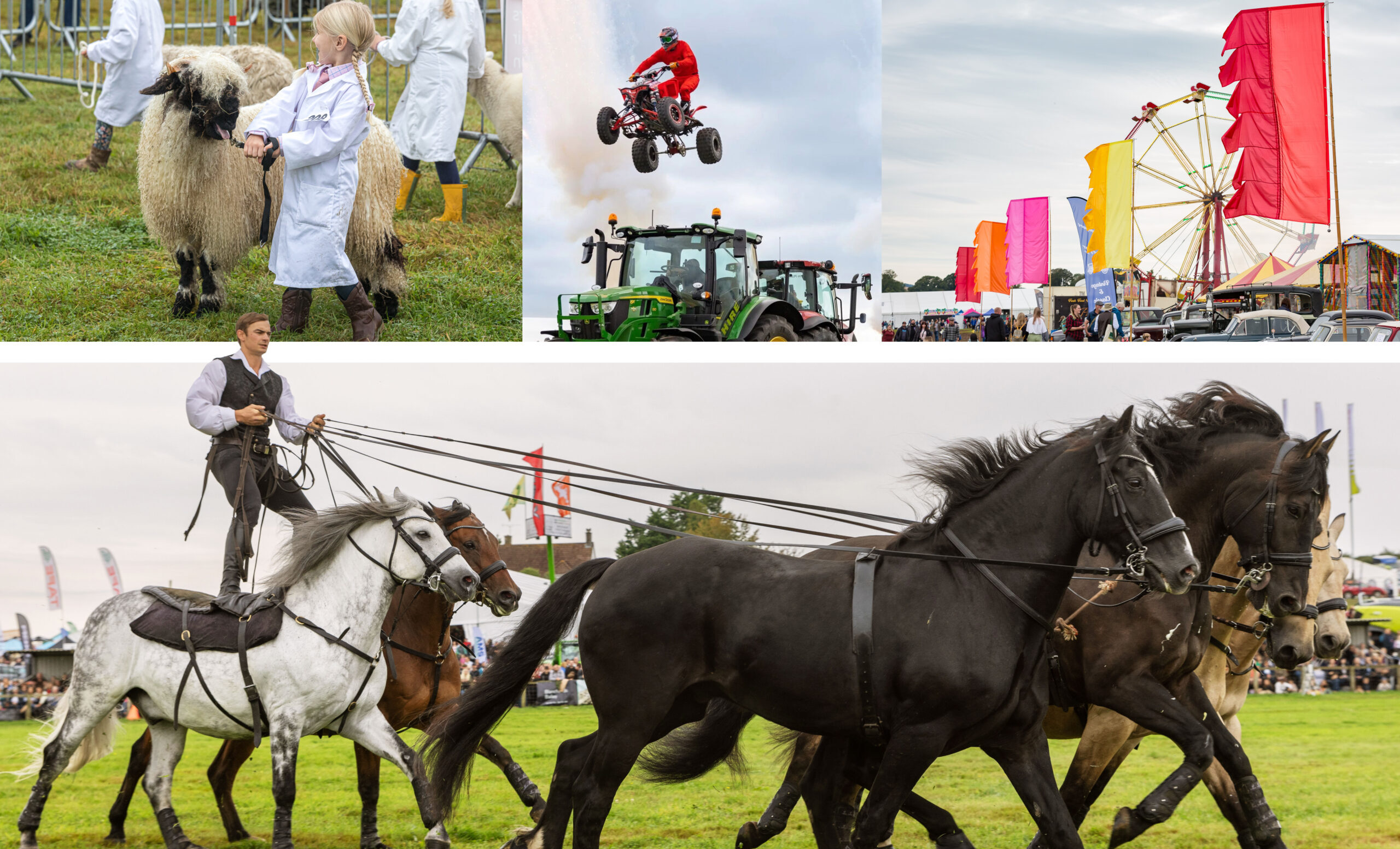 Thrills, spills and country skills: Dorset County Show returns this ...