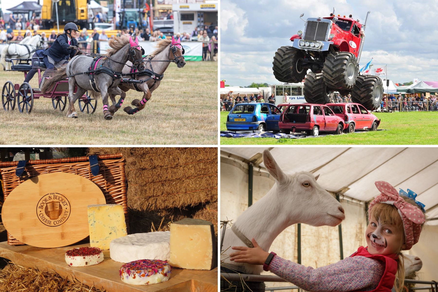 Gearing up for a new-look Dorset County Show! | The New Blackmore Vale ...