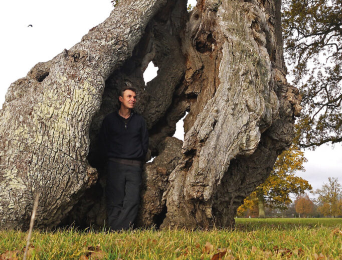 Discover the Vale’s ancient trees | The New Blackmore Vale Magazine ...