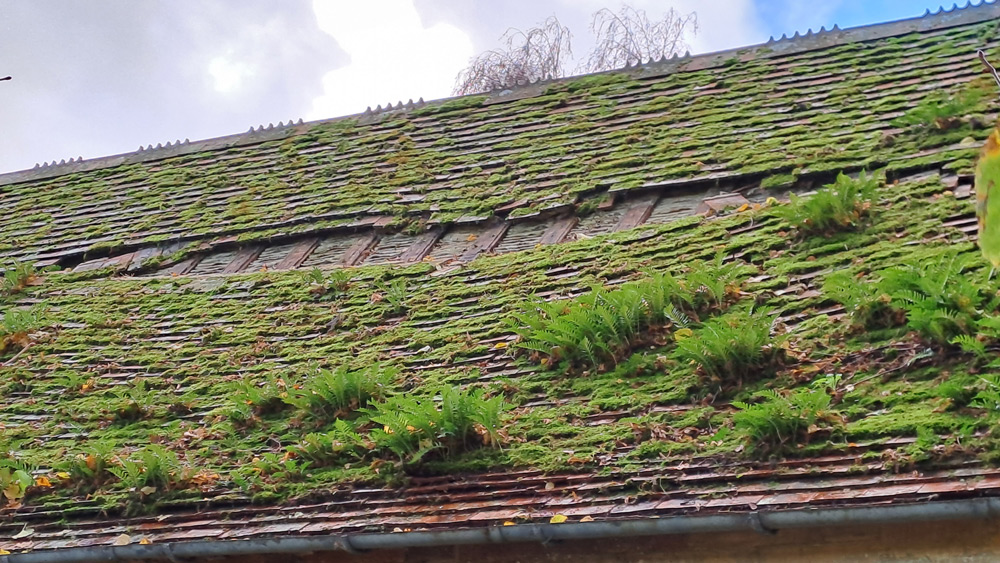 Shillingstone Church Roof in need of new roof | The New Blackmore Vale ...