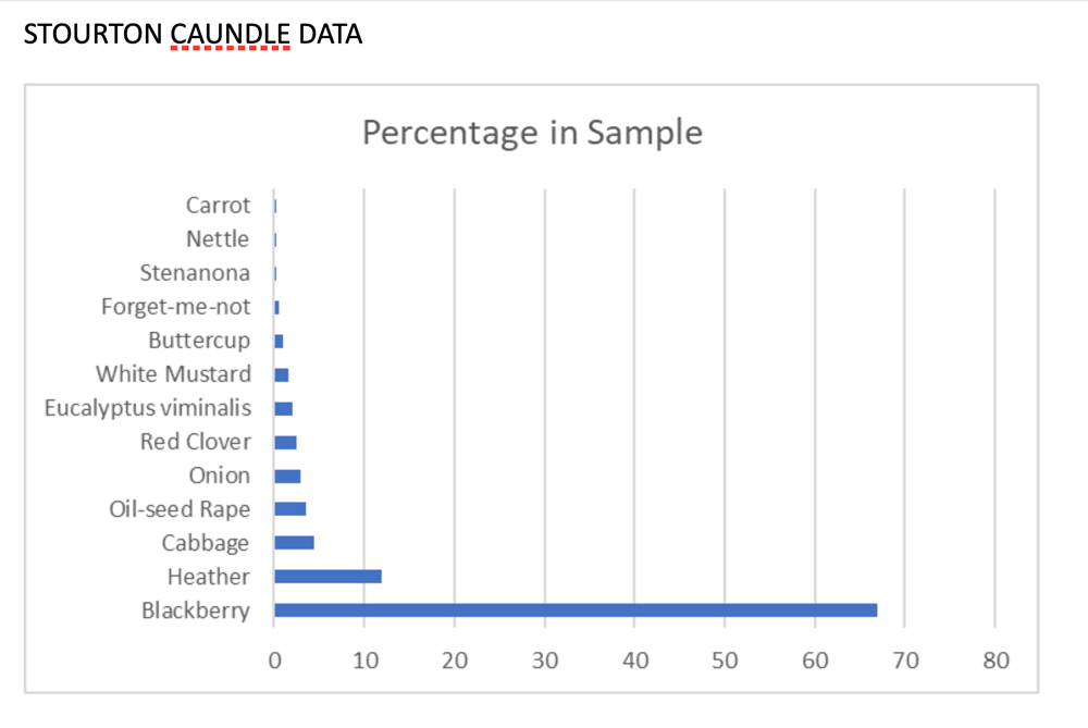 Where have all the honey bees gone? | The New Blackmore Vale Magazine ...