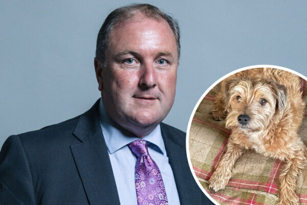 MP Simon Hoare reveals sad news missing dog Jerry has passed away | The ...